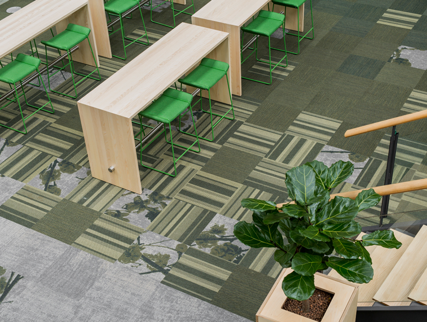 Büro Teppiche für Gewerbe | Ege Carpets